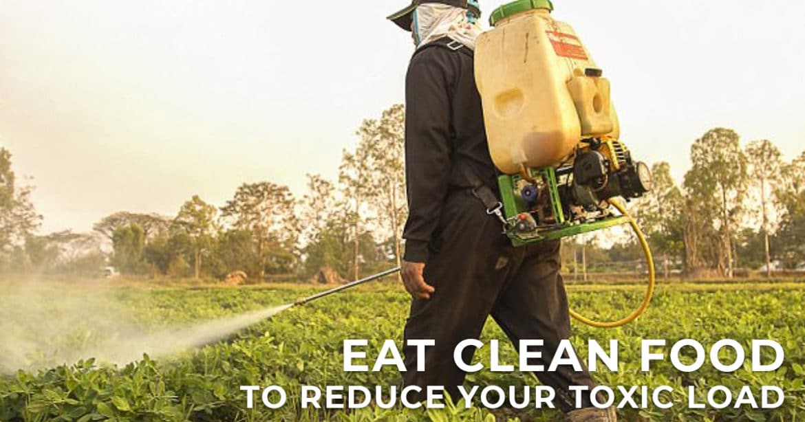 How to detox to reduce your toxic burden and support healing and ...