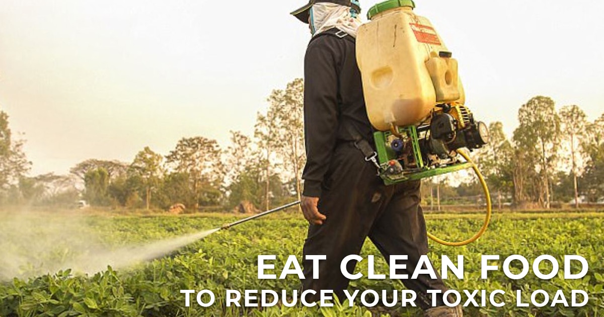 How to detox to reduce your toxic burden and support healing and ...